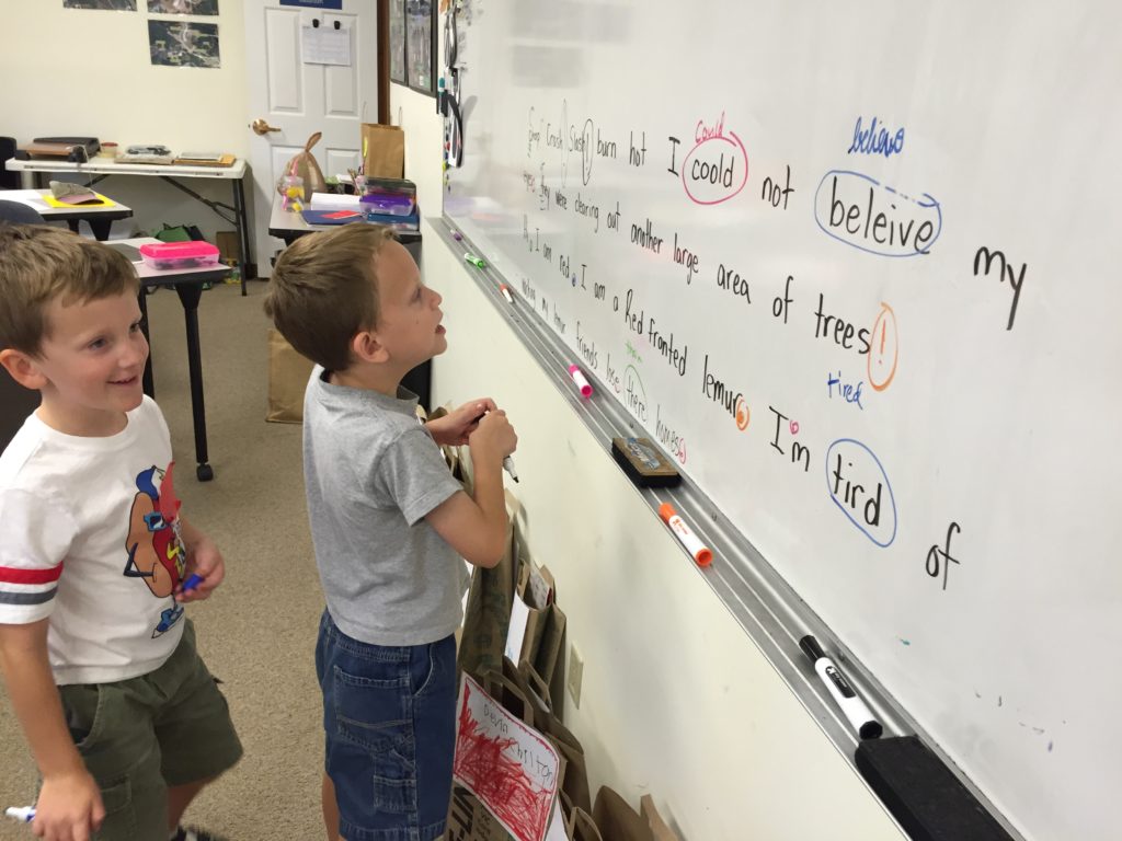 Correct the Paragraph to Practice Grammar-Fun Writing Ideas for Kids