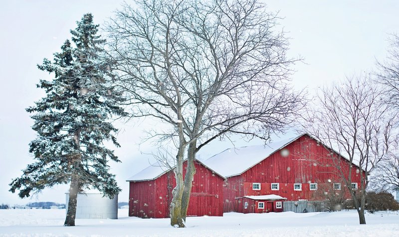A Barn, Cows and Snow-Science Fiction - Fun Writing Ideas for Kids