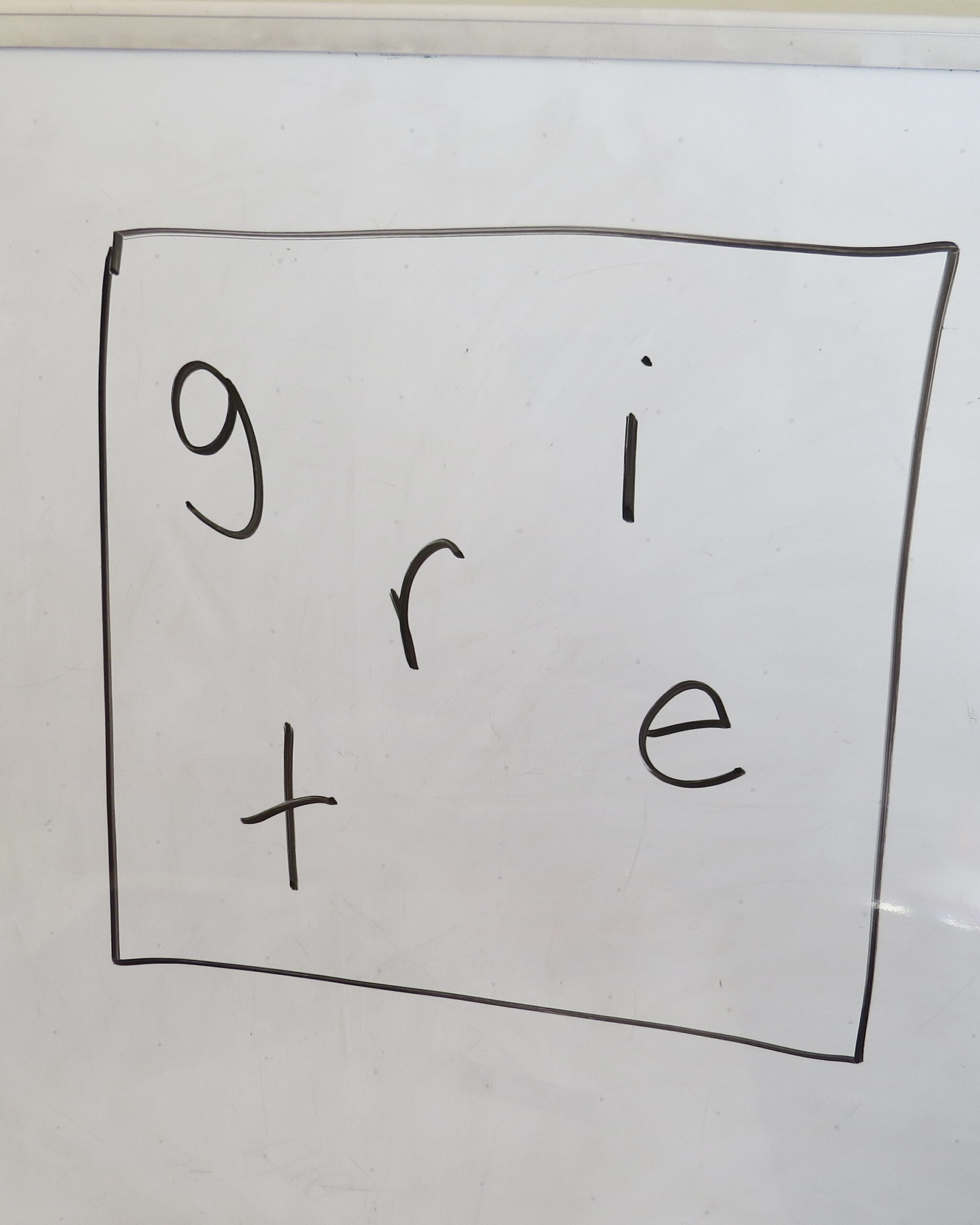 The African Savanna Descriptive Writing Prompt for Kids